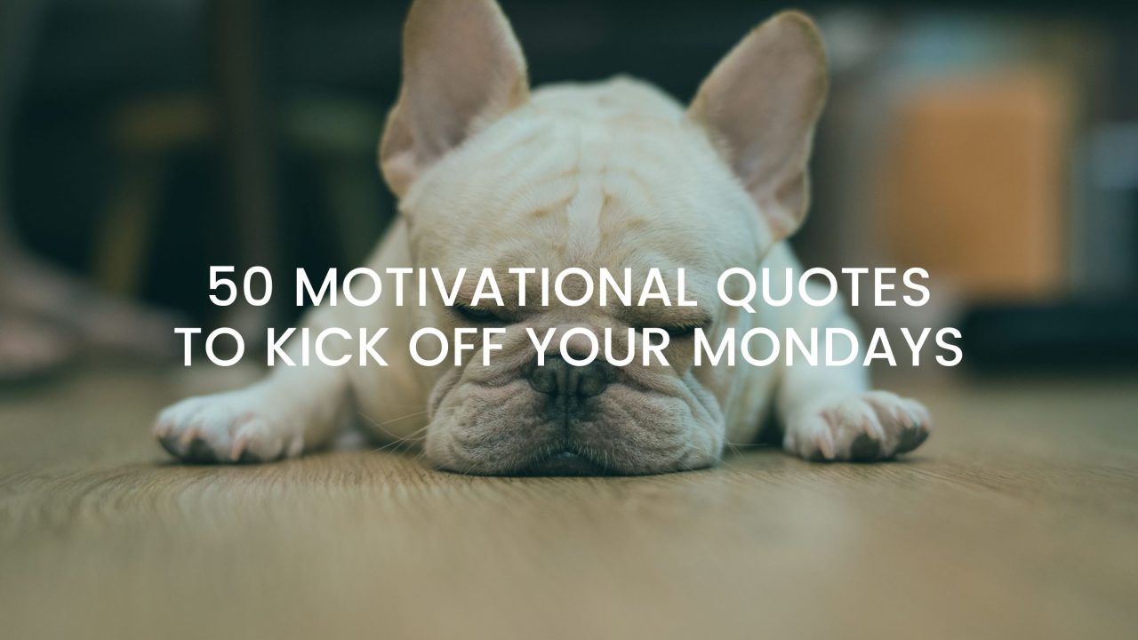 50 motivational quotes to kick off your Mondays